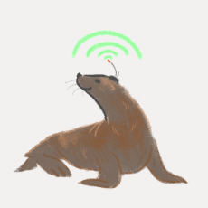 The Seal Signal