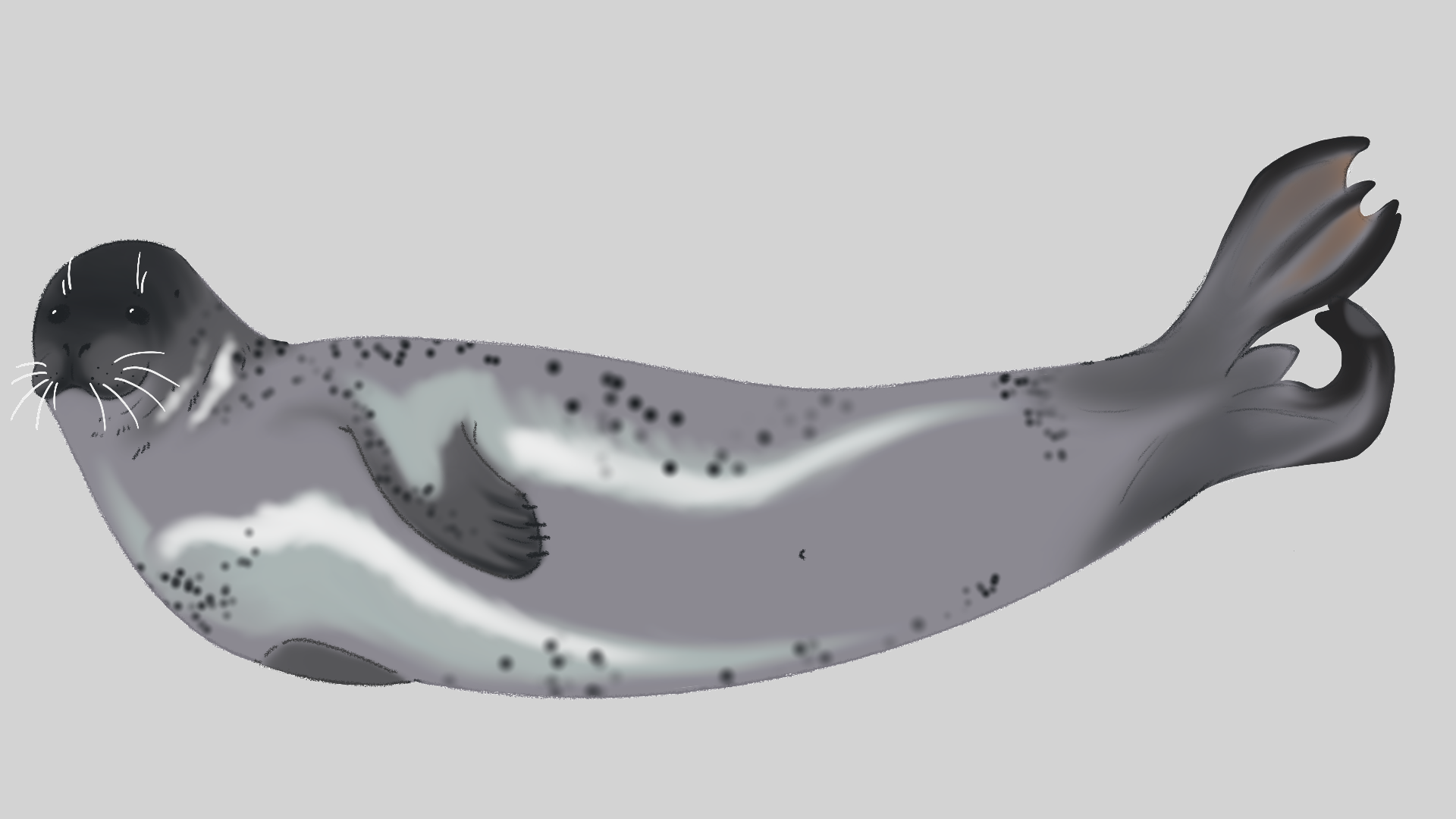 One Unit of Seal – The Seal Signal