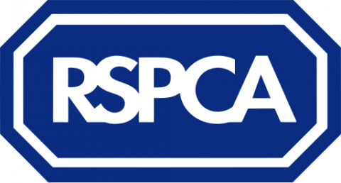 RSPCA Stapeley Grange Wildlife Centre – The Seal Signal