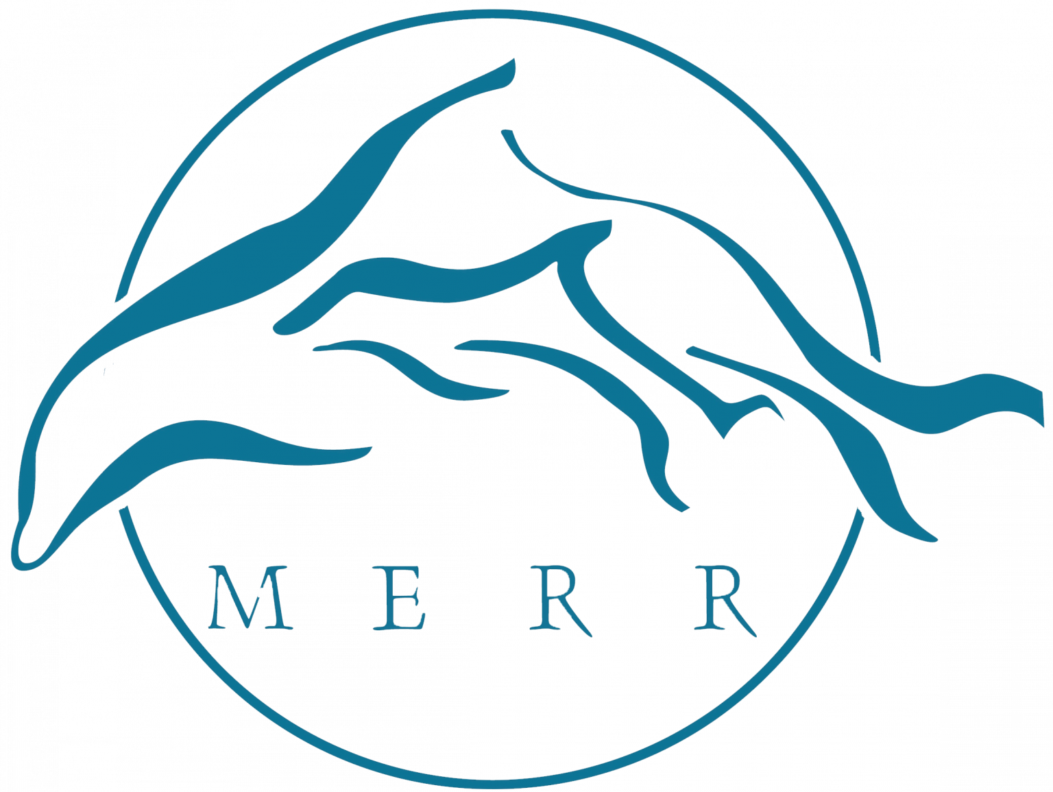 MERR Institute – The Seal Signal