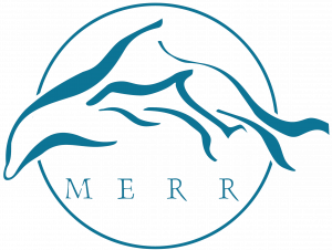 MERR Institute – The Seal Signal