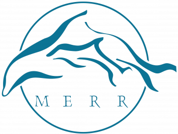 MERR Institute – The Seal Signal